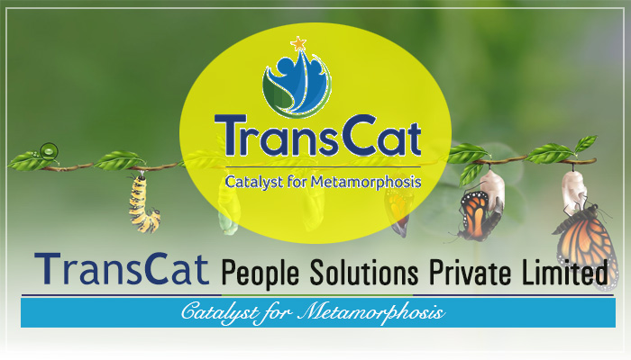 Ocat Online Advertising Report - transcat.in - Summary Report